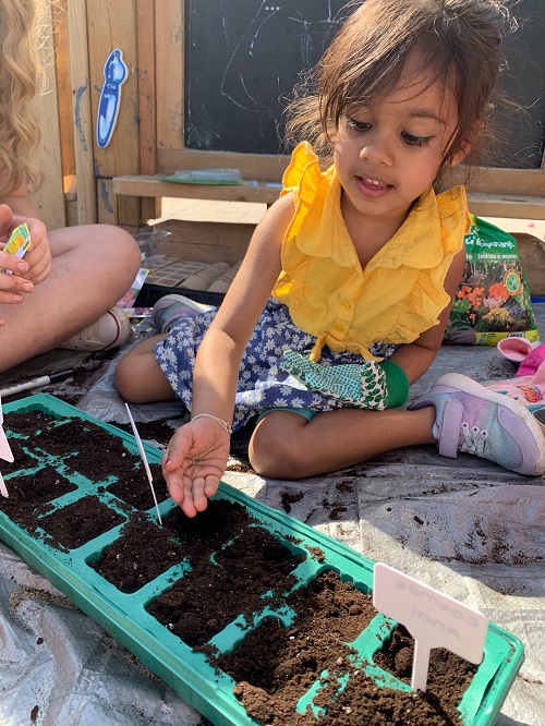 Learning and Growing